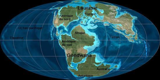triascontinents - Muséum de l'Ardèche Fossiles et dinosaures